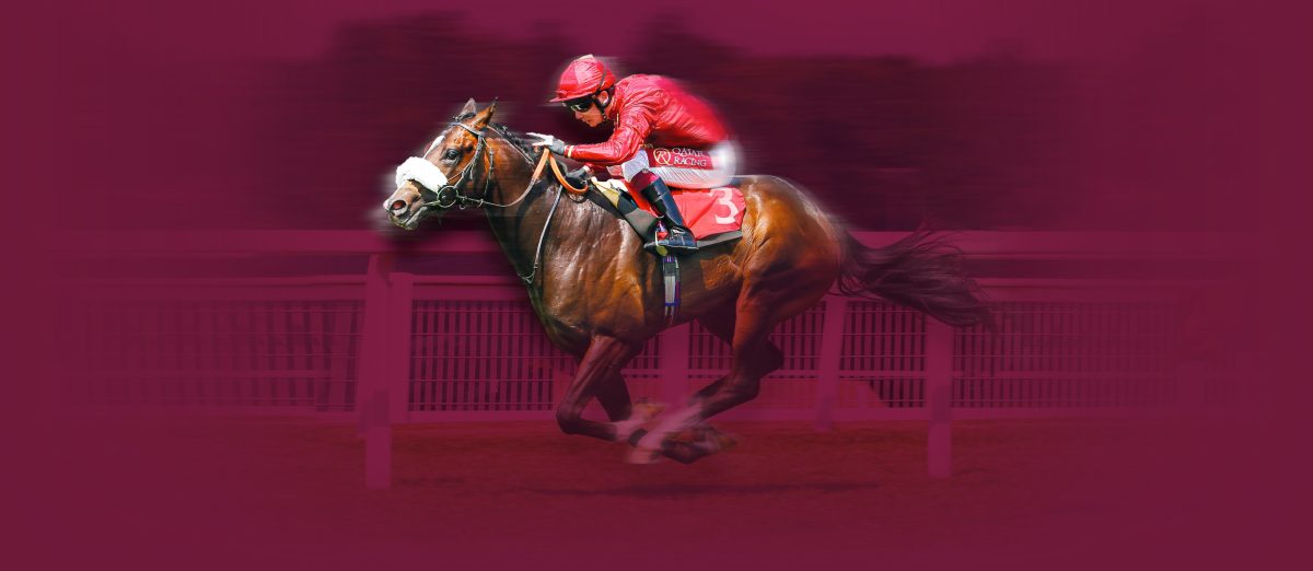 Welcome to Qatar Racing