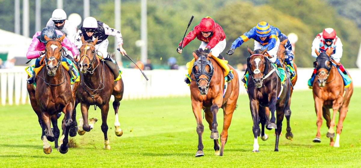 Image gallery - Qatar Racing