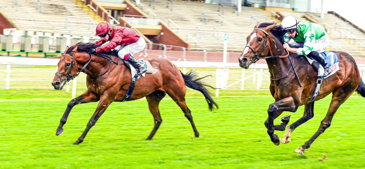 5 Day Entries - Qatar Racing