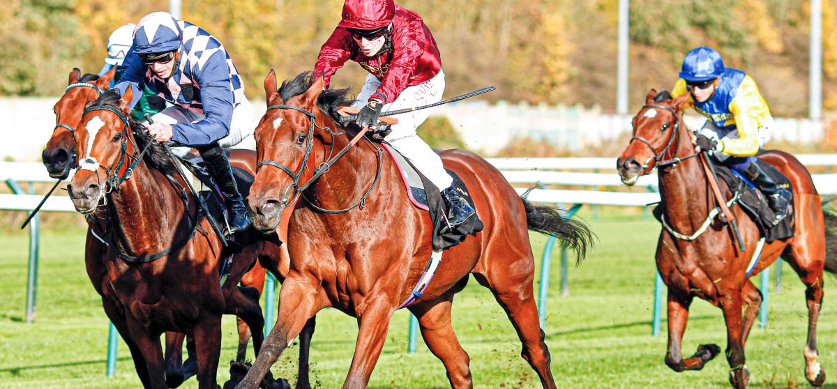 Video gallery - Qatar Racing