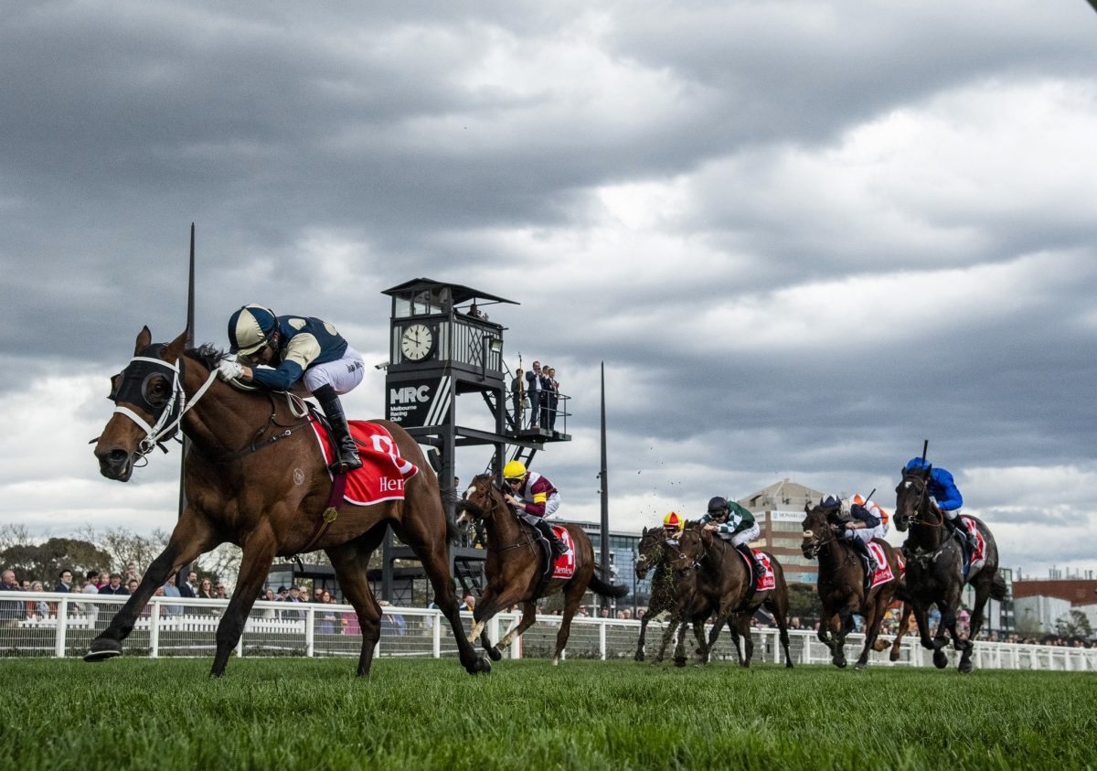 Another Gr.1 for Qatar Racing as Buckaroo wins Underwood - Qatar Racing