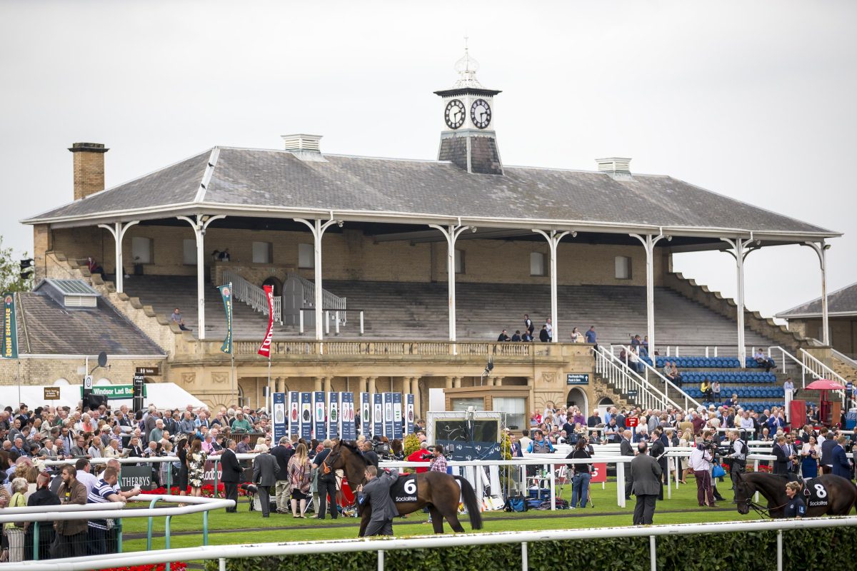 Qatar Racing announce Group 1 Futurity Trophy partnership - Qatar Racing