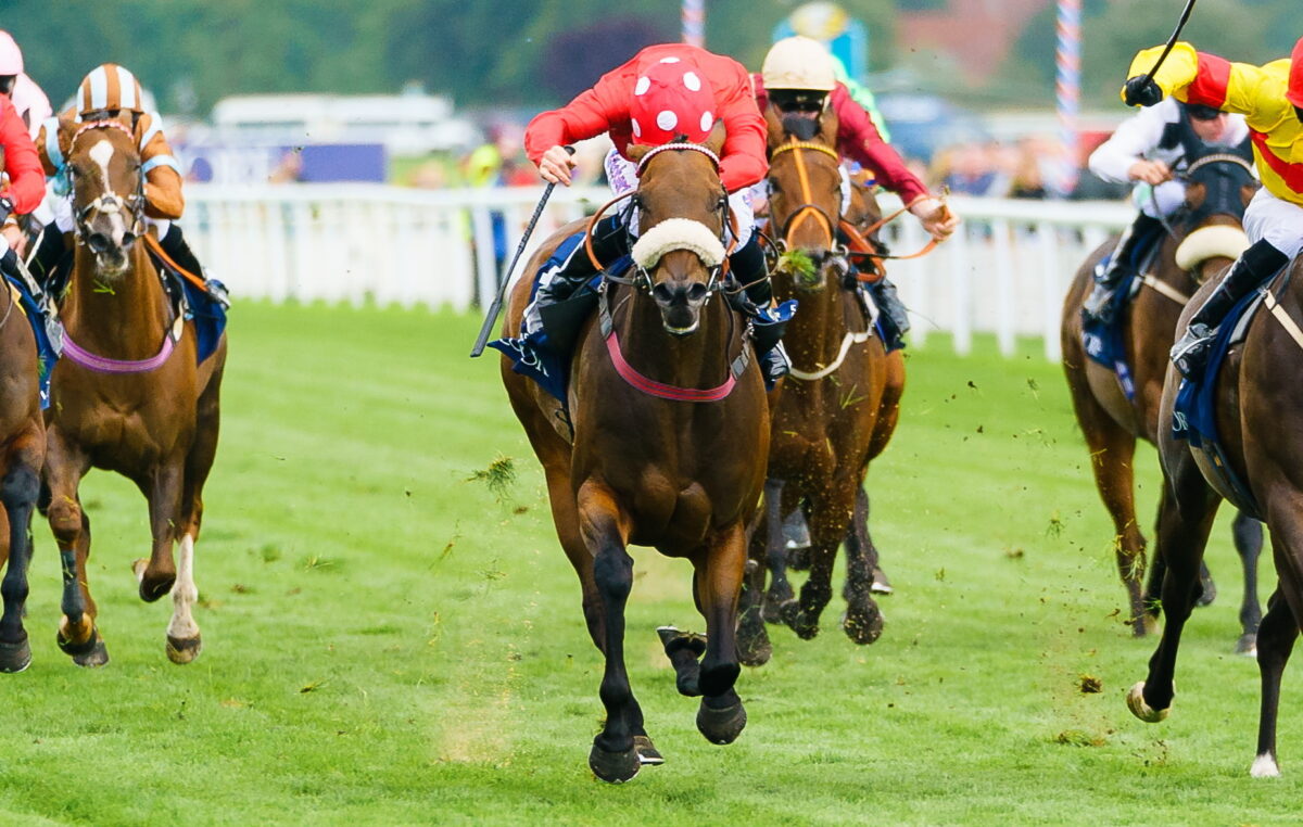 First runner out of Mabs Cross wins - Qatar Racing