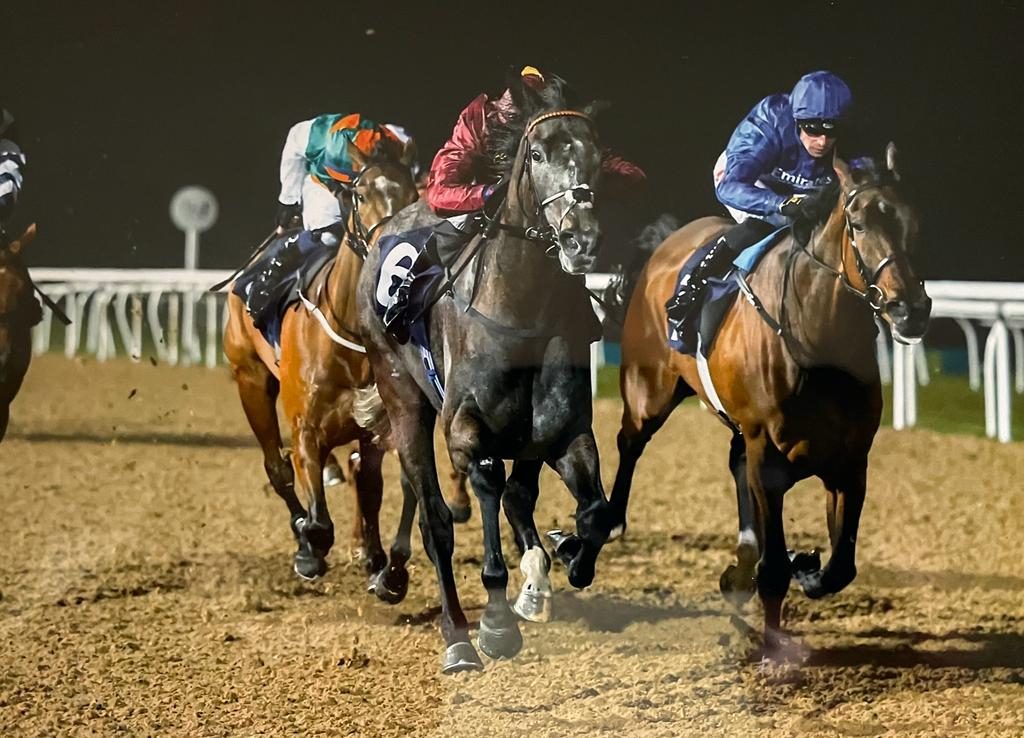 Queen an emotional winner for Qatar Racing - Qatar Racing