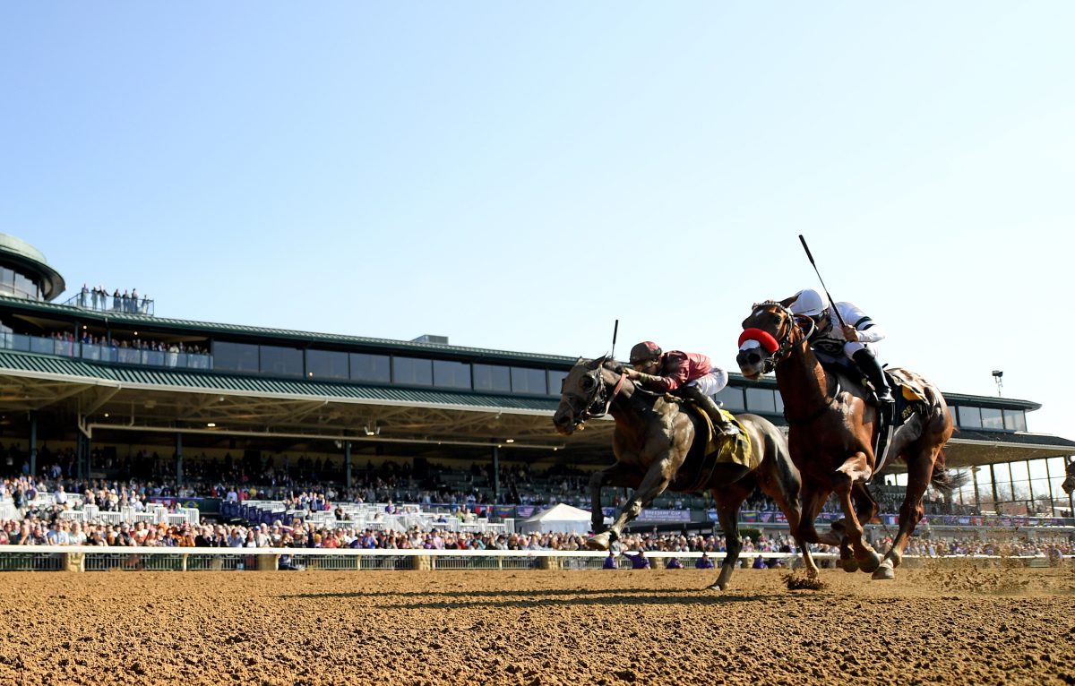 Just A Touch exciting - Qatar Racing