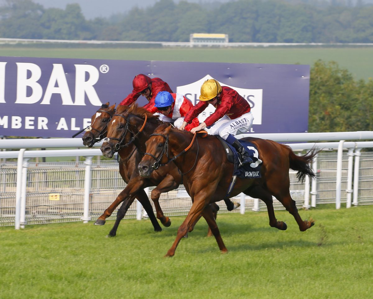 Spear heads one-three for Qatar Racing - Qatar Racing