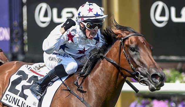 Sunlight sells for record A$4.2 million - Qatar Racing